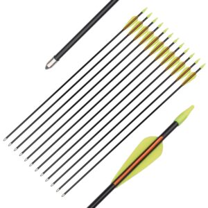 Practice Fiberglass Arrows Archery 28 Inch Target Shooting Safetyglass Recurve Bows Suitable for Youth Children Woman Beginner 6PCS Pack