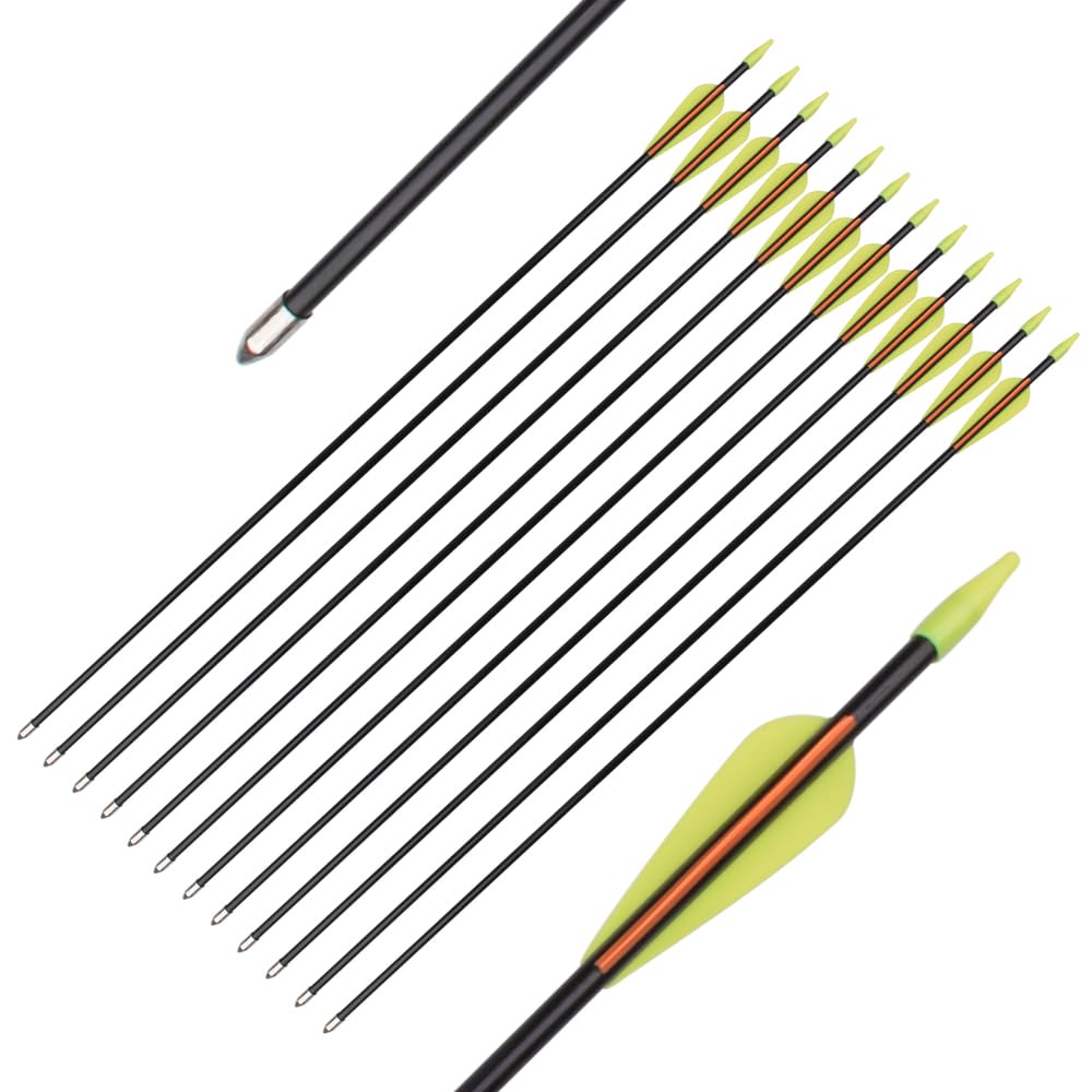 Practice Fiberglass Arrows Archery 28 Inch Target Shooting Safetyglass Recurve Bows Suitable for Youth Children Woman Beginner 6PCS Pack