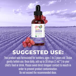 MaryRuth Organics Iron Supplement for Toddlers | Liquid Iron Supplement for Children Ages 1-3 | Iron Supplement for Iron Deficiency | Ferrochel | Sugar Free | Vegan | Non-GMO | Gluten Free | 2 Fl Oz