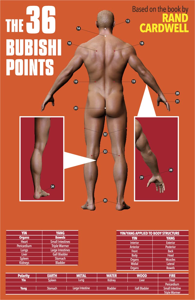 The 36 Bubishi Points, Pressure Points, Vital Points, Martial Arts, 8.5X11 folded or 11x17 unfolded