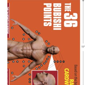 The 36 Bubishi Points, Pressure Points, Vital Points, Martial Arts, 8.5X11 folded or 11x17 unfolded