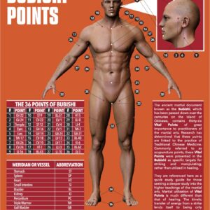 The 36 Bubishi Points, Pressure Points, Vital Points, Martial Arts, 8.5X11 folded or 11x17 unfolded