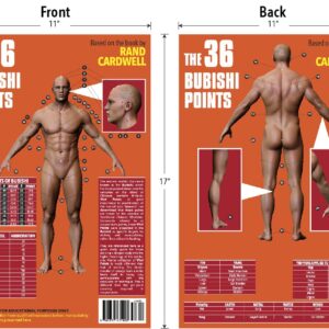 The 36 Bubishi Points, Pressure Points, Vital Points, Martial Arts, 8.5X11 folded or 11x17 unfolded