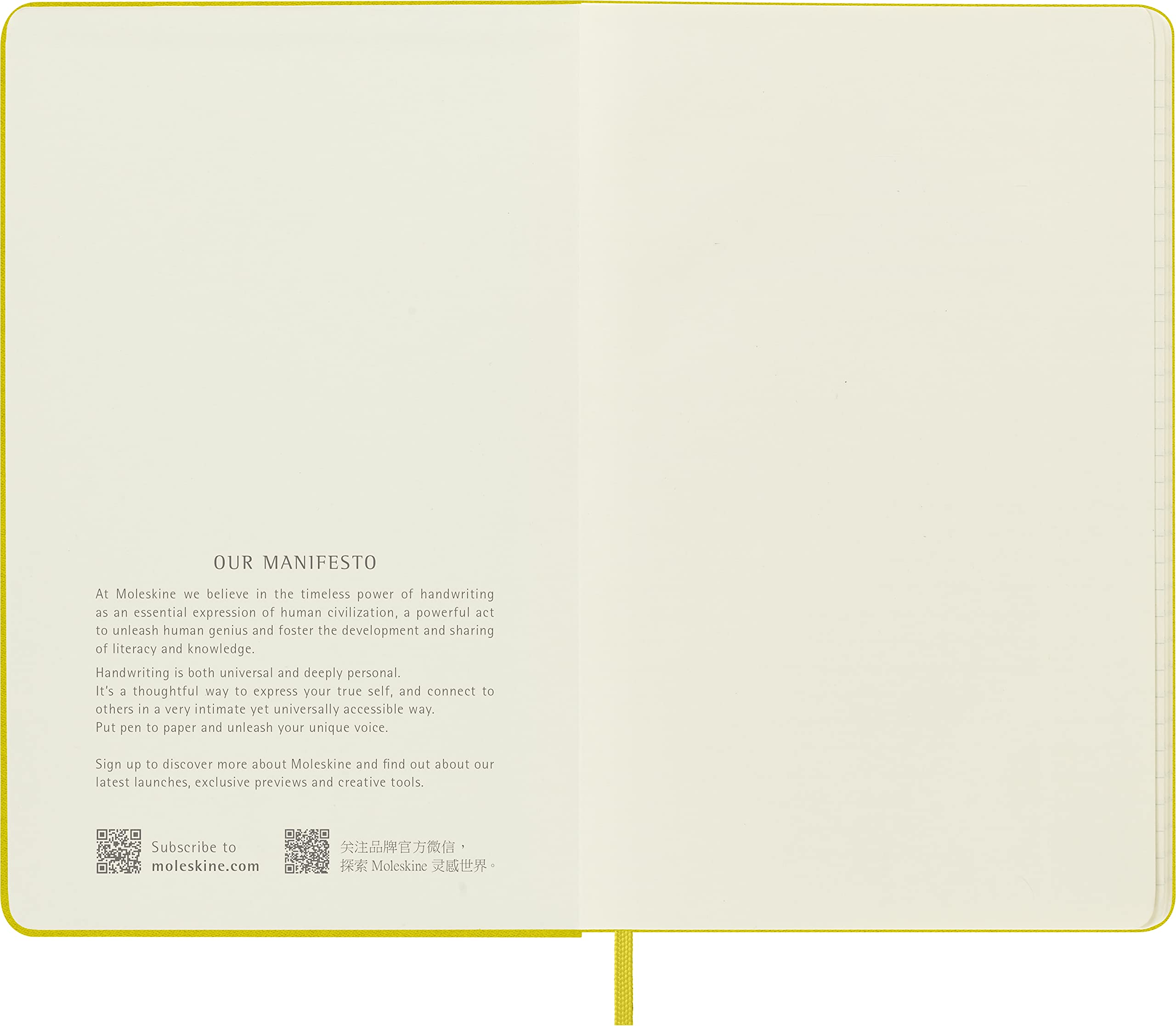 Moleskine Classic Notebook, Hard Cover, Large (5" x 8.25") Ruled/Lined, Hay Yellow (Silk), 240 Pages