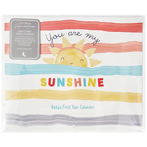 C.R. Gibson BA3-24545 You are My Sunshine Gender Neutral Baby's First Year Keepsake Calendar, 11" W x 18" H Open, Multicolor