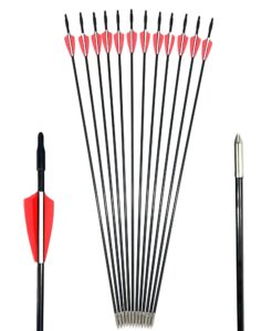 gpp archery beginner's first arrows (30" fiberglass target archery arrows) - 12 pack,red