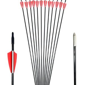 GPP Archery Beginner's First Arrows (30" Fiberglass Target Archery Arrows) - 12 Pack,Red