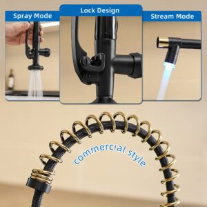 Fapully LED Kitchen Faucet with Pull Down Sprayer,Black&Gold Commercial Kitchen Faucet for Kitchen Sink