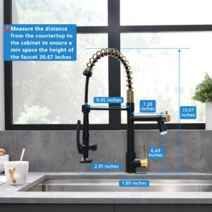 Fapully LED Kitchen Faucet with Pull Down Sprayer,Black&Gold Commercial Kitchen Faucet for Kitchen Sink