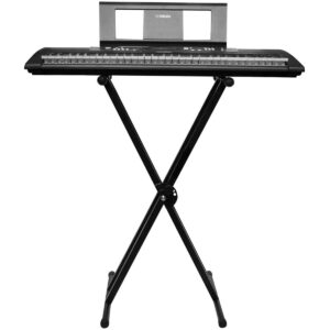 Casio 61-Key Portable Keyboard (CT-S1BK) and ChromaCast Double Braced X-Style Pro Series Keyboard Stand