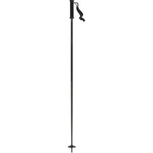 Atomic Park Ski Poles, 100 cm