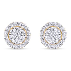 SAVEARTH DIAMONDS Halo Cluster Design, 1/2 Cttw Round Cut Lab Created Moissanite Diamond Stud Earrings for Women in 14k Yellow Gold Over Sterling Silver (VVS1 Clarity, 0.50 Cttw)