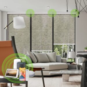 LEYBUSH Motorize Remote Control Blinds, Roller Window Shades(Rechargeable Build-in Battery) Smart Blind Shade Compatible with Smartphone App Smart Home Alexa Google Home, American Products