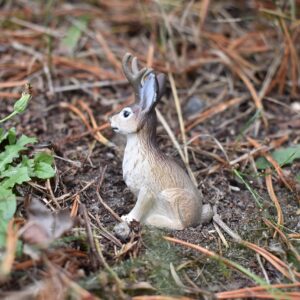 CWG Jackalope Plastic Replica 2.5inch Tall - F4238 B376