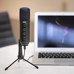 512 Audio by Warm Audio Tempest - Large Diaphragm Studio Condenser USB Microphone + Stand + Shock Mount for Recording and Streaming