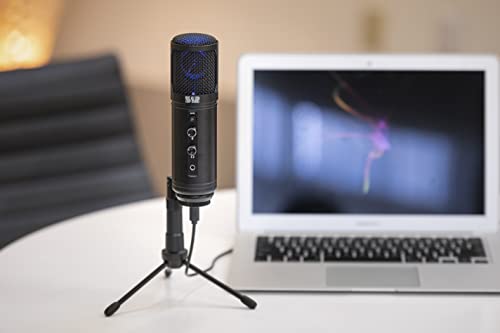 512 Audio by Warm Audio Tempest - Large Diaphragm Studio Condenser USB Microphone + Stand + Shock Mount for Recording and Streaming