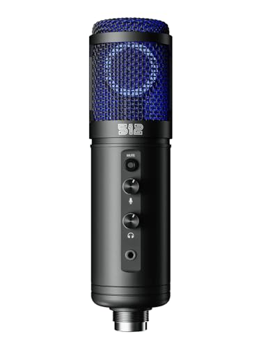 512 Audio by Warm Audio Tempest - Large Diaphragm Studio Condenser USB Microphone + Stand + Shock Mount for Recording and Streaming