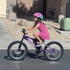 JOYSTAR 20 Inch Girls Moutain Bike for Kids Ages 7-12 Year Old Shimano 7-Speed and Dual Disc Brake 20 Inch Fat Tire Kids Bike Girl Bicycle Purple