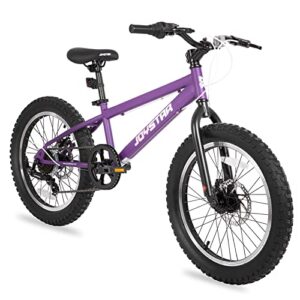 joystar 20 inch girls moutain bike for kids ages 7-12 year old shimano 7-speed and dual disc brake 20 inch fat tire kids bike girl bicycle purple