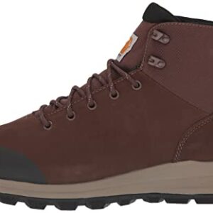 Carhartt Men's Outdoor WP 5" Soft Toe Hiker Boot FH5020-M, Dark Brown, 8.5 W