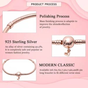 MICOO 925 Sterling Silver Snake Chain Butterfly Charms Bracelet, Evil Eye Bracelet with 5A Cubic Zirconia Bracelets for Women Birthday Gifts