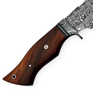 Handmade Hunting Knife Bushcraft Fixed Blade Knife Damascus Steel Survival Knife Fix Blade Knife Camping Knife EDC 10'' Overall Rose Wood With Leather Sheath