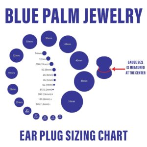 blue palm jewelry Pair of Amethyst Double Flare Stone Ear Plugs Expander Gauges 2ga - 1 inch E553