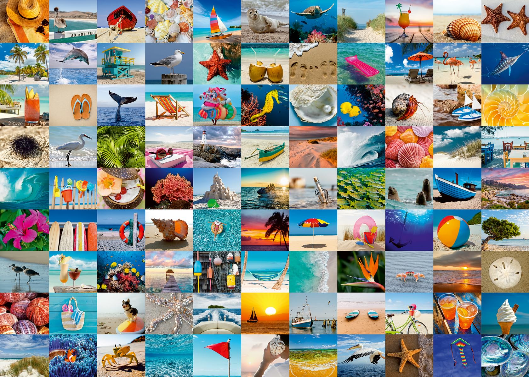 Ravensburger 99 Seaside Moments Jigsaw Puzzle | 1000-Piece | Unique Softclick Technology | Vibrant, Glare-Free | Perfect for Ages 14 and Up