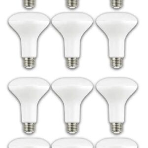 LED TECHNOLOGY EcoSmart 65-Watt Equivalent BR30 Dimmable LED Light Bulb Bright White (12-Pack), 12 Count (Pack of 1)