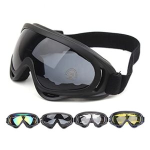 Ski Goggles Ski Snowboard Goggles Mountain Skiing Eyewear Snowmobile Winter Sport Gogle Snow Glasses Snow Goggles (Color : D)