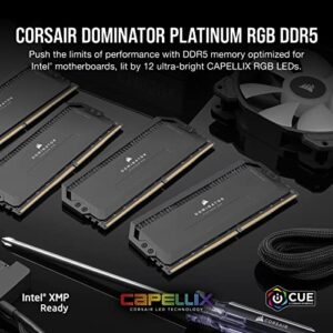 CORSAIR DOMINATOR PLATINUM RGB DDR5 RAM 64GB (2x32GB) 5200MHz CL40 Intel XMP iCUE Compatible Computer Memory - Black (CMT64GX5M2B5200C40)