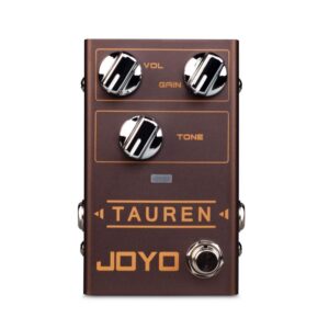 JOYO R-01 Wide Range High Gain Overdrive Pedal Bundle with DC 9V Pedal Power Supply (800mA -1A) AC Adapter