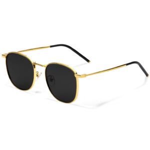 Veda Tinda Vision Sunglasses Women and Men Trendy Retro Square Black TAC Gold Frame Polarized UV400 Protection C09S01