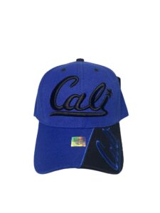 embroidered mens womens cap hat curved bill baseball california republic bear blue