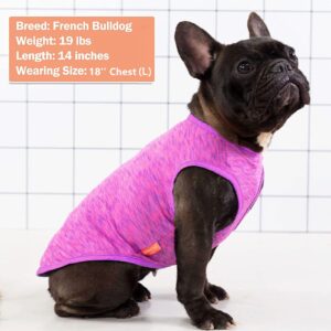 KYEESE 2 Pack Dog Shirts Quick Dry Soft Stretchy Sun Protection Dog T-Shirts with Reflective Label Tank Top Sleeveless Vest Dog Clothes for Small Medium Dogs, Large, Purple+Pink