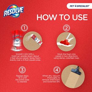 Resolve Pet Specialist Heavy Traffic Foam, Carpet Cleaner, Pet Stain and Odor Remover, 22oz