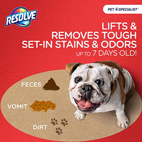 Resolve Pet Specialist Heavy Traffic Foam, Carpet Cleaner, Pet Stain and Odor Remover, 22oz