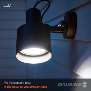 LEDVANCE Sylvania Night Chaser LED PAR38 Light Bulb, 250W = 23W, 22 Year, Dimmable, Super Bright 2650 Lumens, Wet Rated, 5000K, Daylight - 2 Pack (41358)