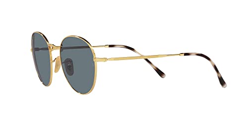 Ray-Ban RB3582 David Round Sunglasses, Gold/Dark Blue Polarized, 53 mm