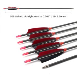 Hosolee 12 Pack Carbon Arrows 500 Spine Archery Targeting Arrow with Real Feathers and Field Points for Compound Recurve Bows (29 Inch)