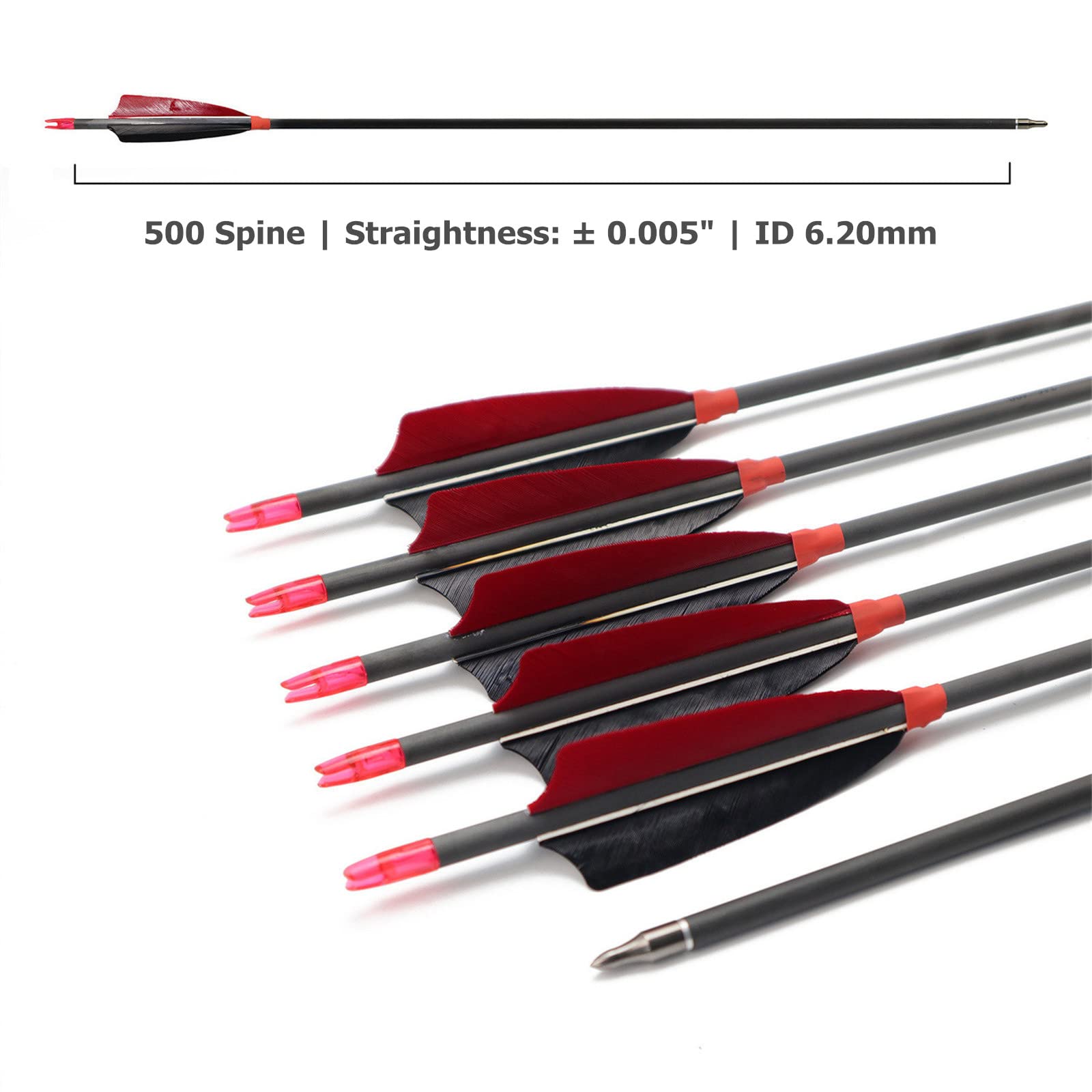 Hosolee 12 Pack Carbon Arrows 500 Spine Archery Targeting Arrow with Real Feathers and Field Points for Compound Recurve Bows (29 Inch)