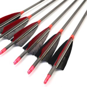 Hosolee 12 Pack Carbon Arrows 500 Spine Archery Targeting Arrow with Real Feathers and Field Points for Compound Recurve Bows (29 Inch)