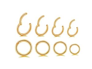 16g hypoallergenic nose rings 316l surgical steel piercing jewelry hinged segment ring body piercing septum nose hoop lip rings nose helix cartilage rook earrings (16g 4pairs 6/8/10/12mm gold)