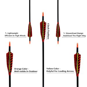 Hosolee 12 Pack Archery 500 Spine Carbon Arrows with Real Feathers and Removable Tips for Targeting Hunting Practice