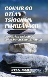 conair go dtí an tsíocháin inmheánach: conas fíor-shíocháin inmheánach a bhaint amach (irish edition)