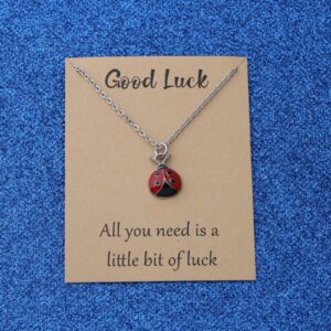 WUSUANED Good Luck Ladybug/Butterfly/Elephant Necklace Lucky Animal Charms Jewelry With Wish Cards Gift For Women(Ladybug necklace silver)