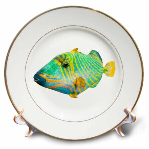 3drose 8 inch porcelain plate - a green and yellow saltwater undulated triggerfish graphics fish