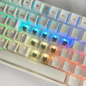 Gateron G Silver Pro Switches pre-lubed 3pin RGB SMD Linear Dust-Proof Single Spring Switch for Gaming Mechanical Keyboard (72 Pcs, Silver)