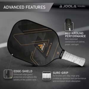 JOOLA Essentials Performance Pickleball Paddle with Reinforced Fiberglass Surface and Honeycomb Polypropylene Core, Black