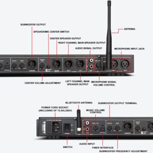 Depusheng REV3900 KTV Pre-Effector Household Reverberator Karaoke Anti-Howling Audio Processor USB Bluetooth Device with Microphone